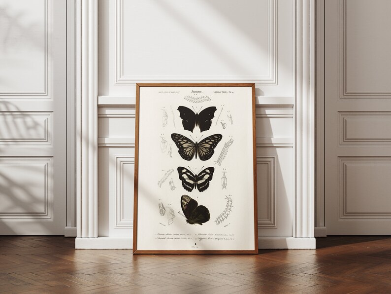 Butterfly Printable, Cute Apartment Décor, Preppy Room Décor ...