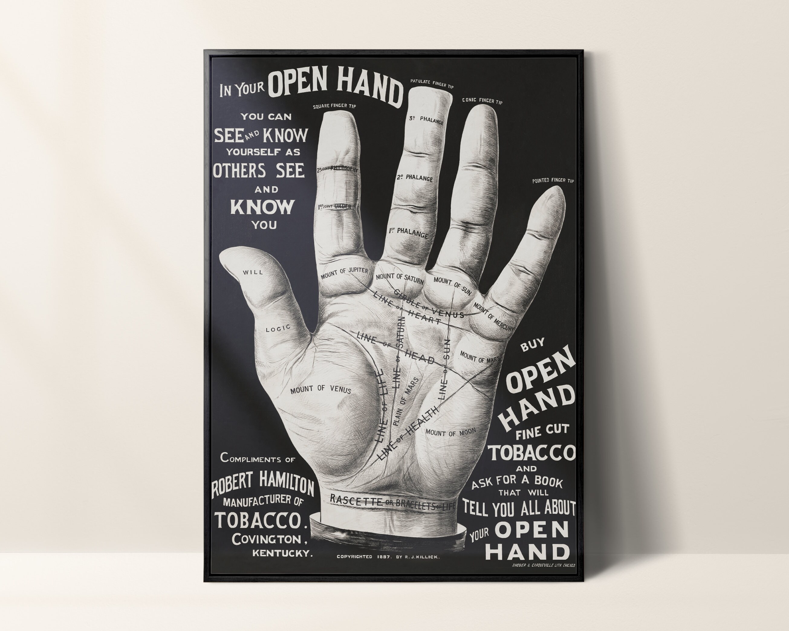 Palm Reading Poster, Palmistry Art Print, Palm Reading, Open Hand ...