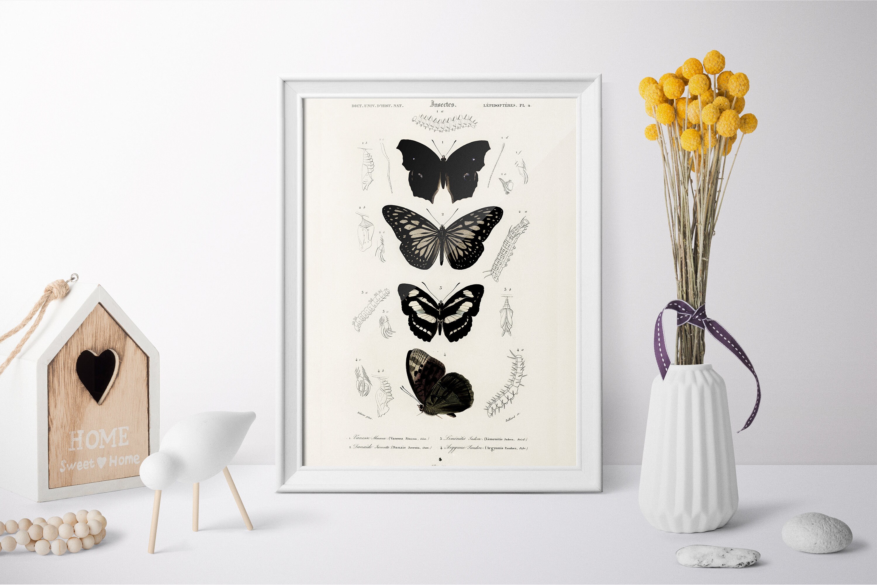 Butterfly Printable, Cute Apartment Décor, Preppy Room Décor ...