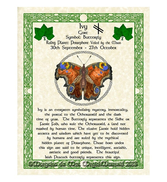 October 27 Zodiac Sign