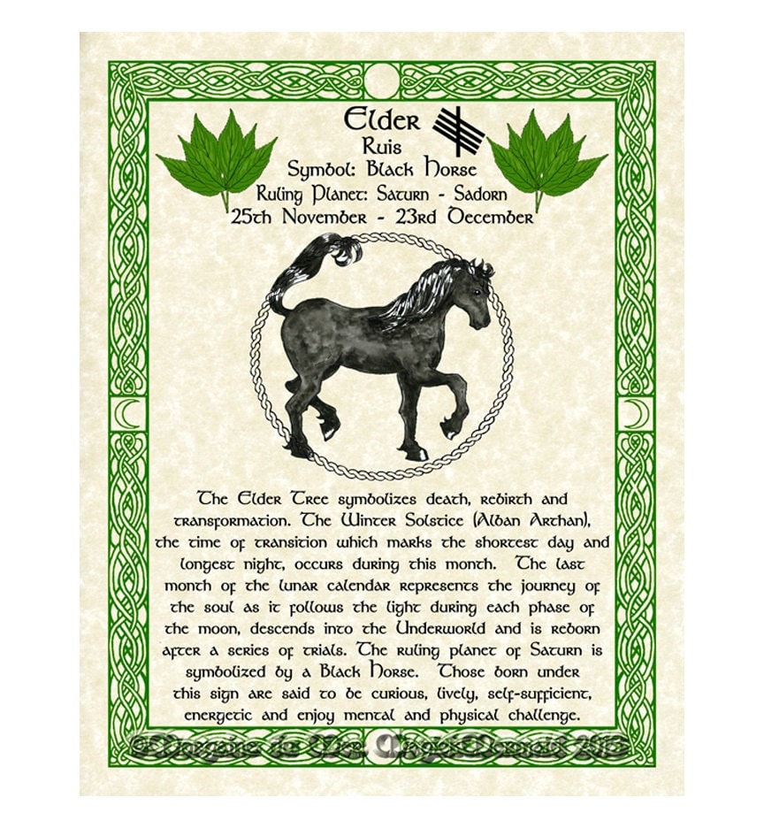 Celtic Horse Symbols