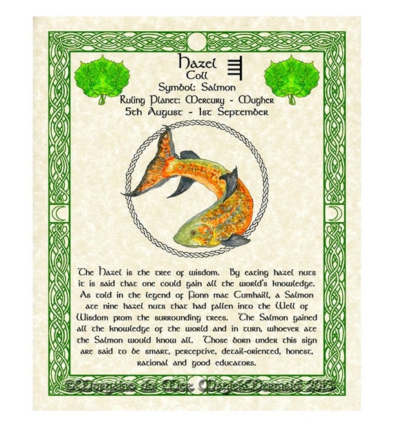 Celtic Salmon Symbol