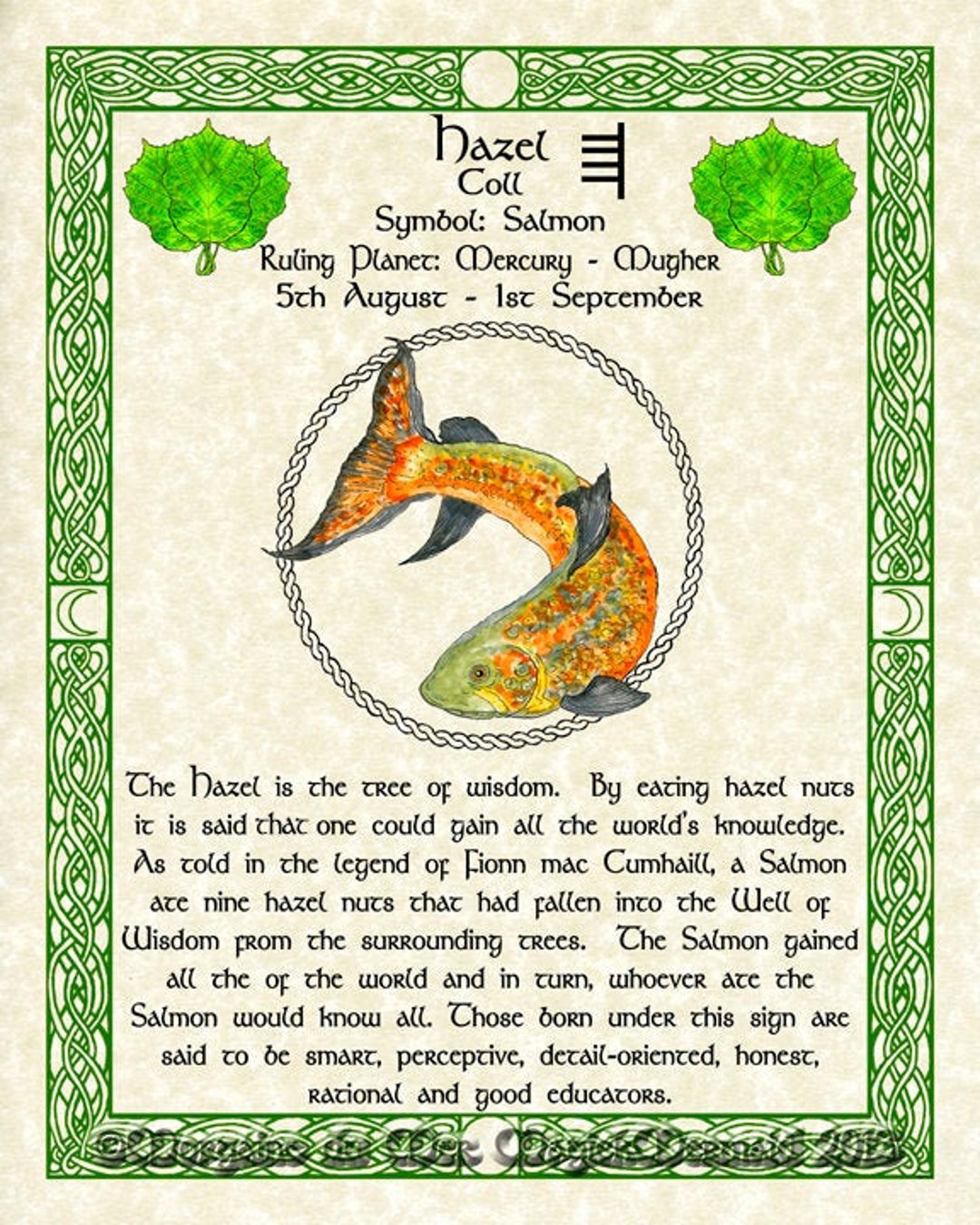Salmon Hazel Celtic Zodiac Sign Print for August 5-sept 1 - Etsy