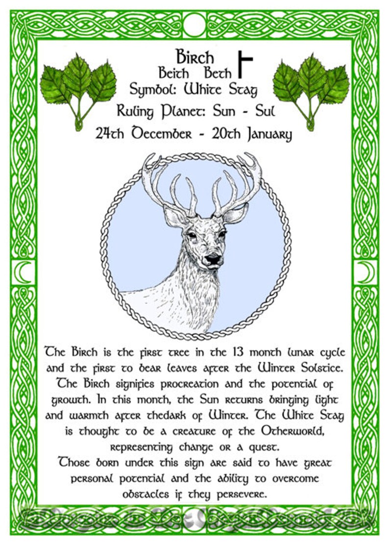 White Stag Birch Celtic Zodiac Sign Print Dec 24-jan 20 | Etsy