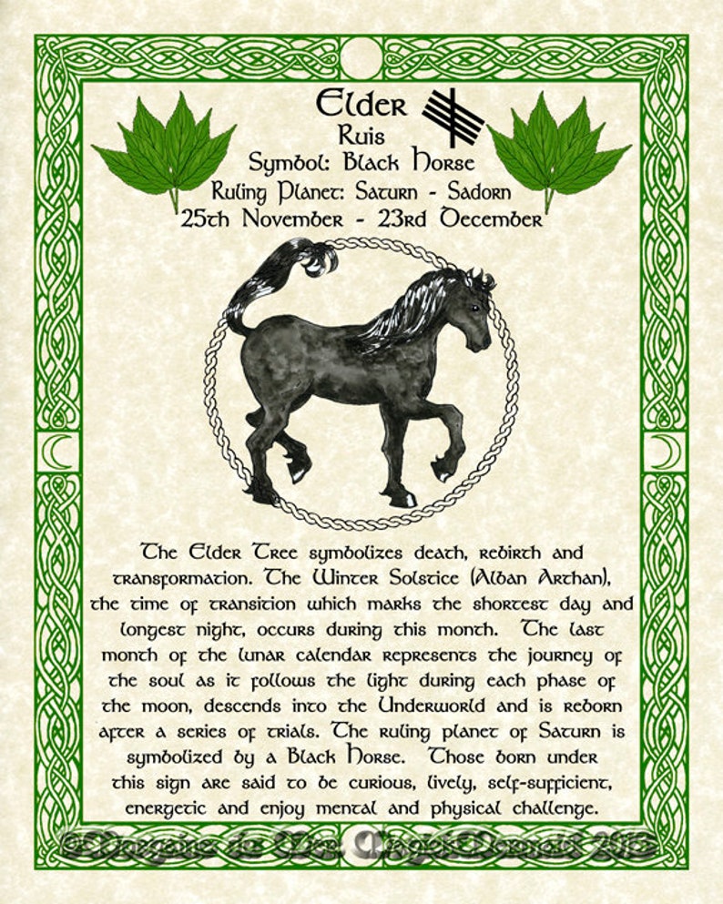Black Horse Elder Celtic Zodiac Sign Print For Nov 25 dec 23 Etsy black-horse-elder-celtic-zodiac-sign-print-for-nov-25-dec-23-etsy