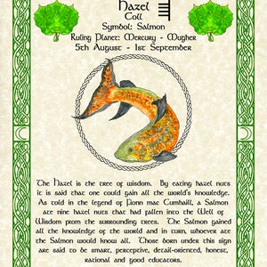 Salmon Hazel Celtic Zodiac Sign Print August 5-sept 1 Birthday Gift ...