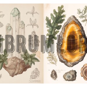 8 CRYSTALS Digital Manuscript Book of Shadows Pages Printable Vintage ...