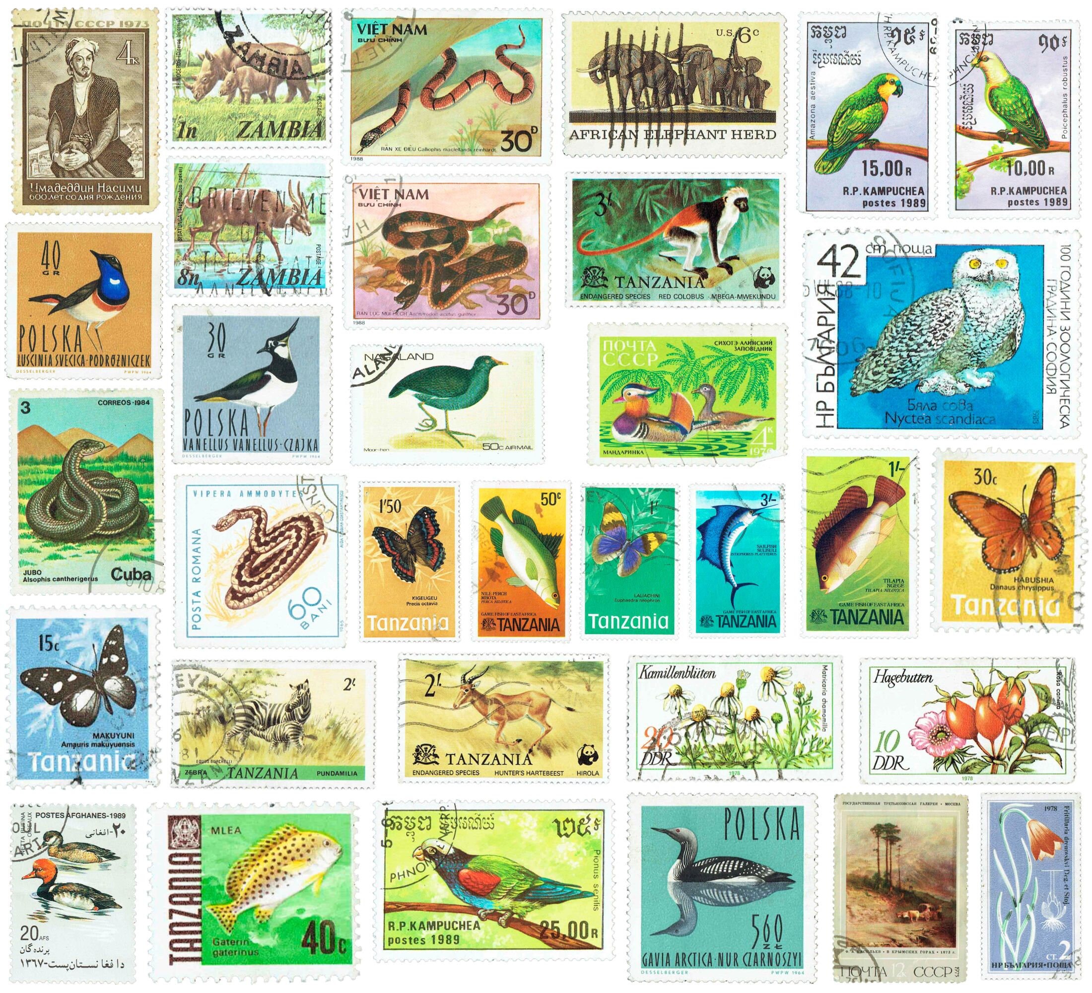 100+ Pcs PNG Real Postage Stamps With Transparent Background Clipart ...