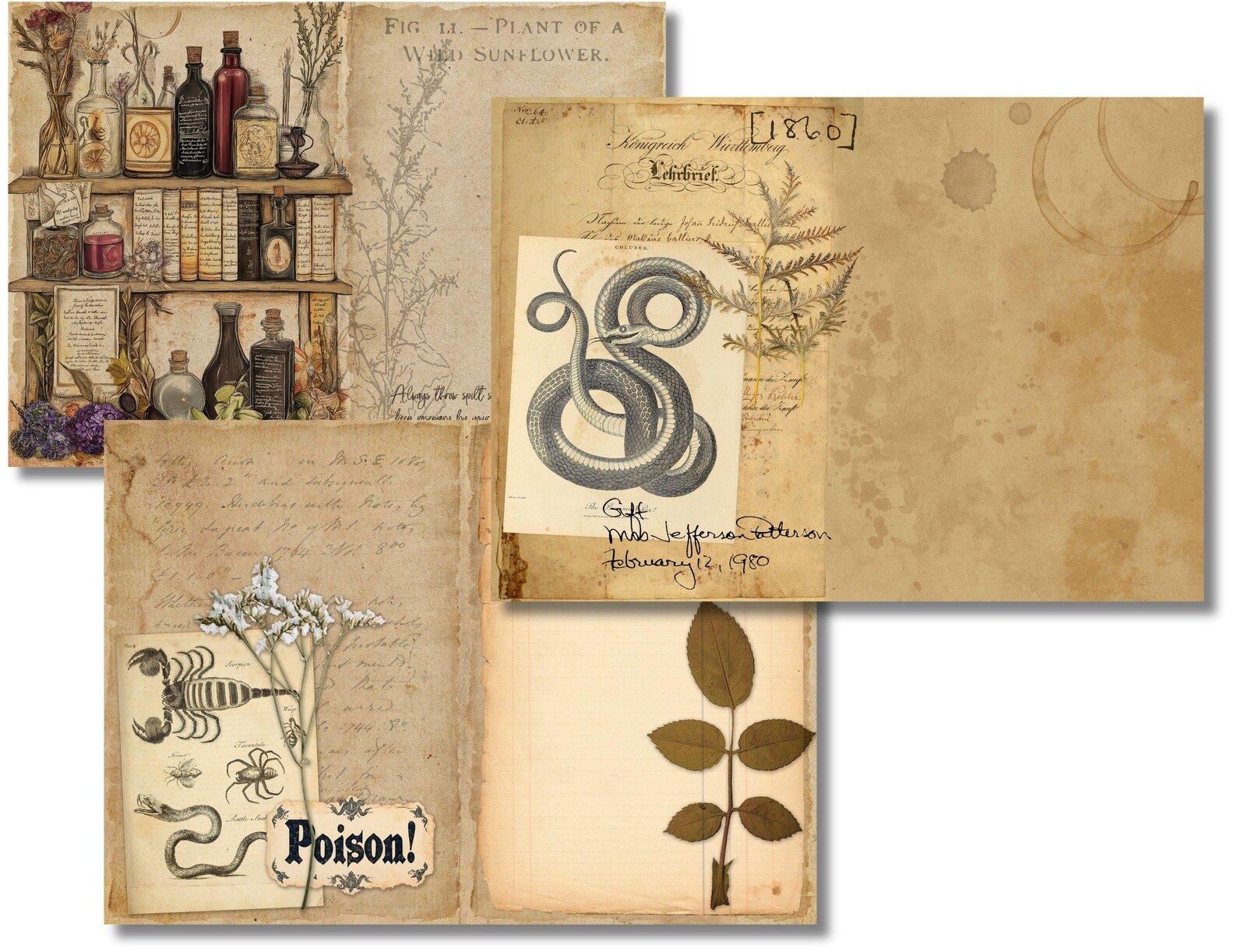 Magical Eclectic Digital Junk Journal Kit Practical Magic Pages ...