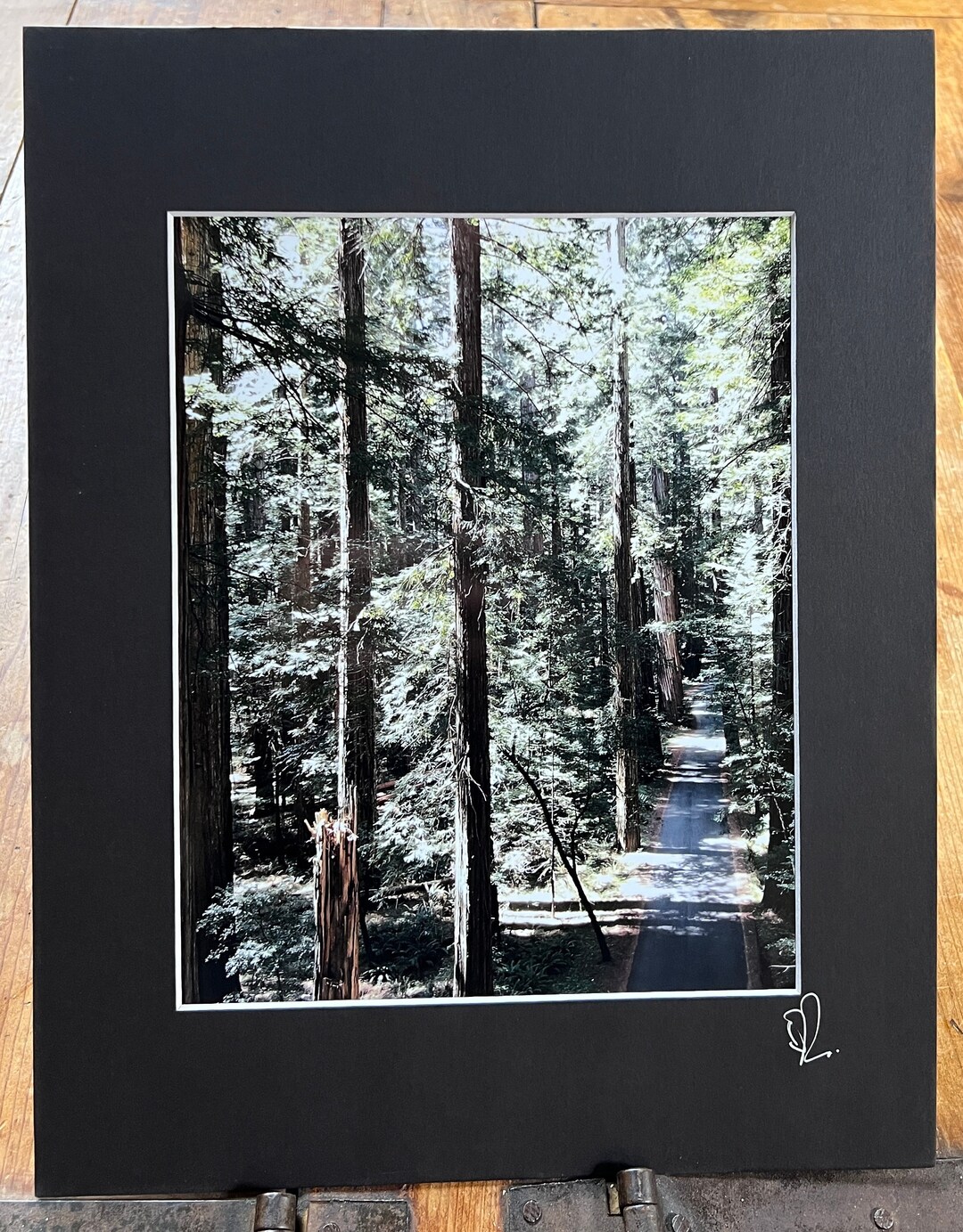The Redwoods of Rockefeller Loop (portrait), Mattole Road, Humboldt ...