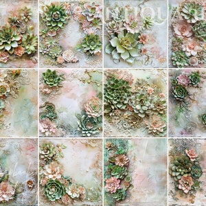 Succulents Digital Paper | Plants Paper | Commercial Use | Botanical ...