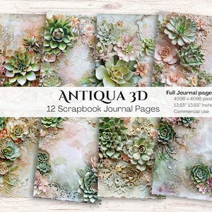 Succulents Digital Paper | Plants Paper | Commercial Use | Botanical ...