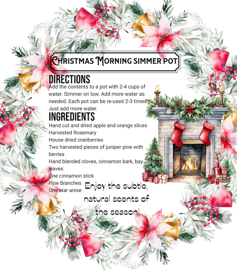 Christmas Morning Simmer Pot Kit, Holiday Stovetop Potpourri, Gift ...