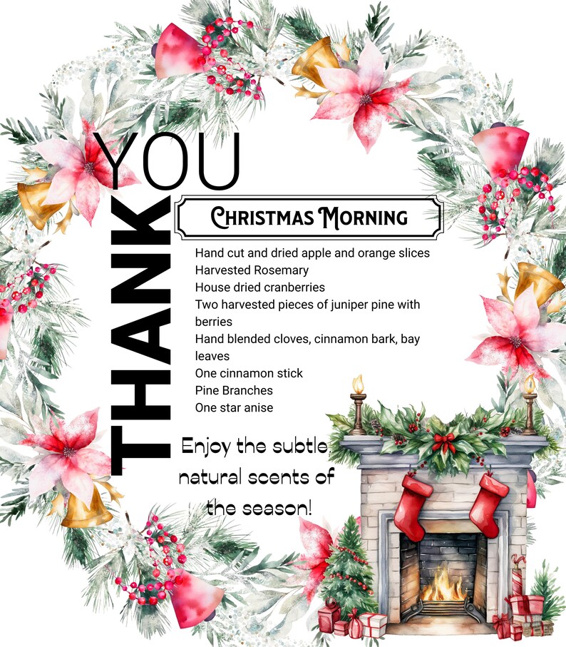 Christmas Morning Simmer Pot Kit, Holiday Stovetop Potpourri, Gift ...