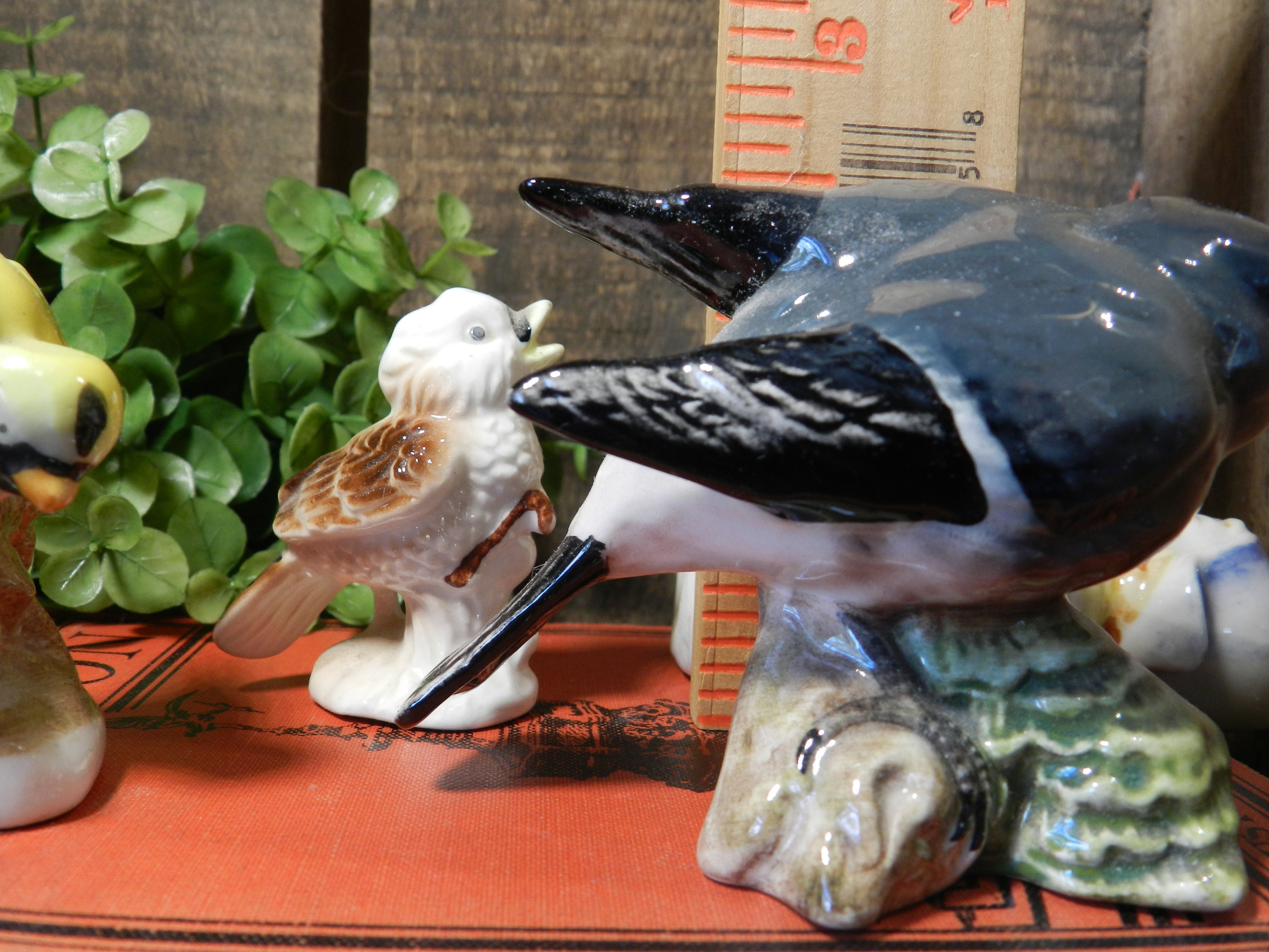 Vintage Bird Collection - Etsy