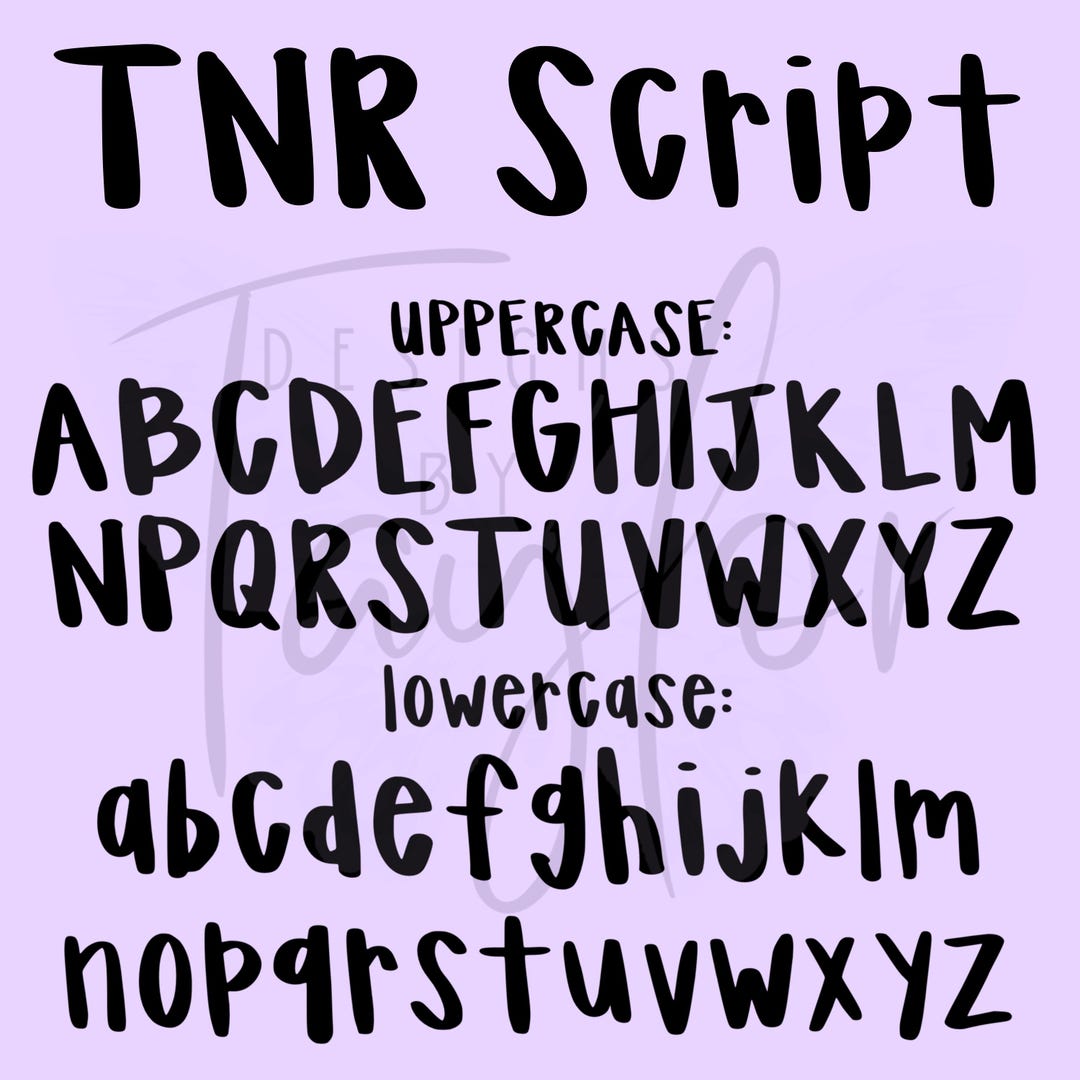 TNR Script Handwritten Font - Etsy
