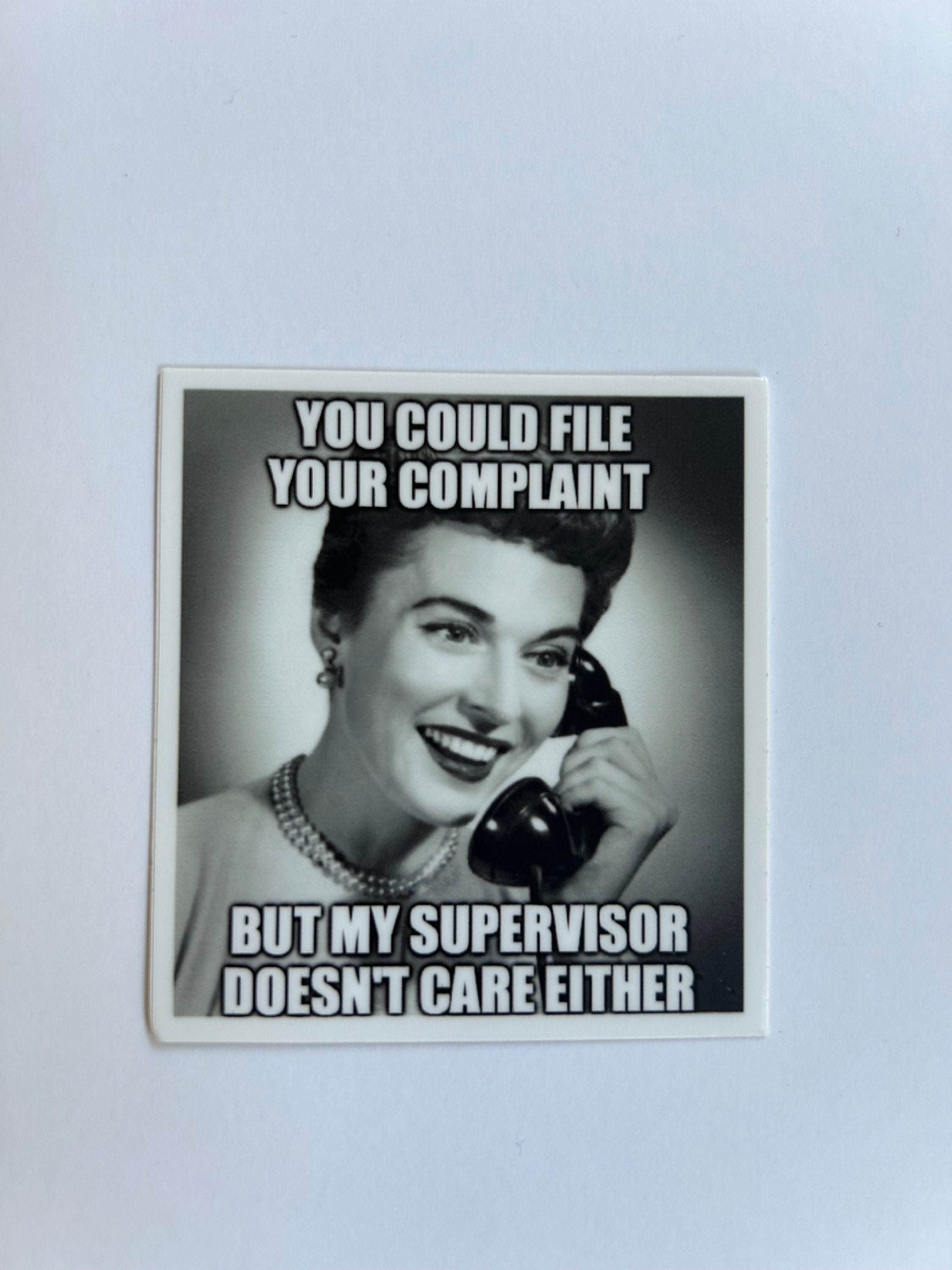 Funny Meme Work Sticker - Quiet Quitting - Gift Idea for Boss - Journal ...