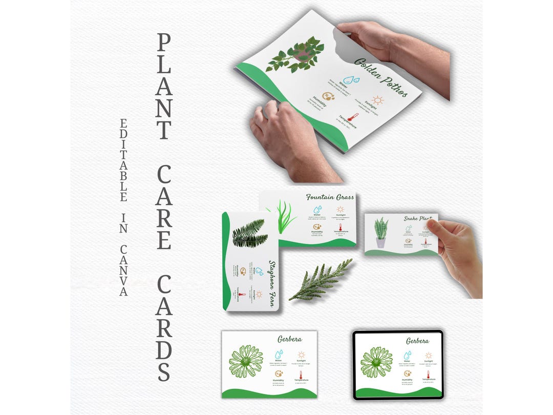 Plant Care Cards: Printable Houseplant Guide (canva Template) Plant ...