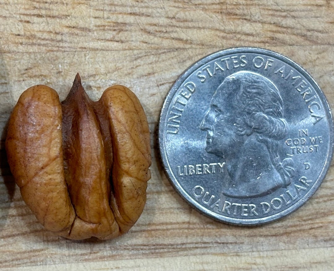 ELLIOT Pecans Organic Round Dry Canned Shelf Stable 4 Years, Quart Jar ...