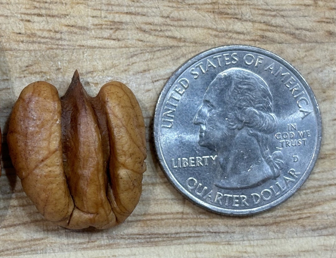 ELLIOT PECANS Dry Canned Quart Jar Emergency Survival Food Shelf Stable ...