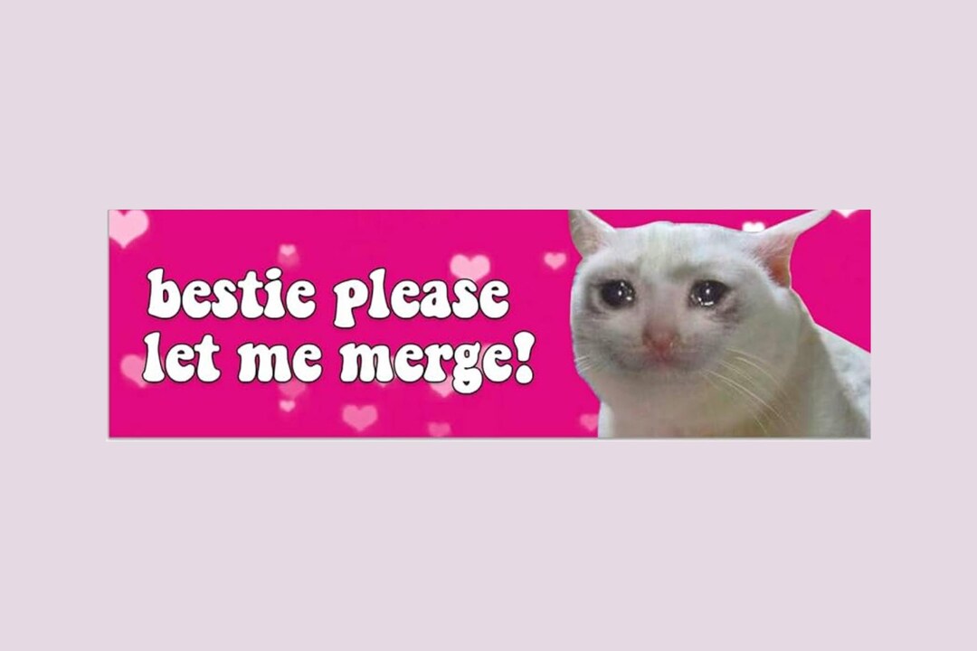 Funny Cat Bumper Stickers, Bestie Please Let Me Merge! Car Decal, Cute ...