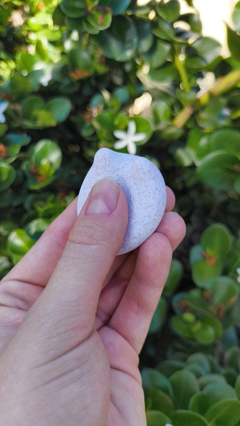 Thumb Bug Fidget | Worry Stone - Etsy