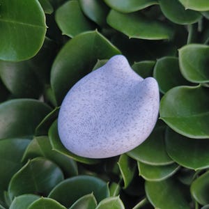 Thumb Bug Fidget | Worry Stone - Etsy