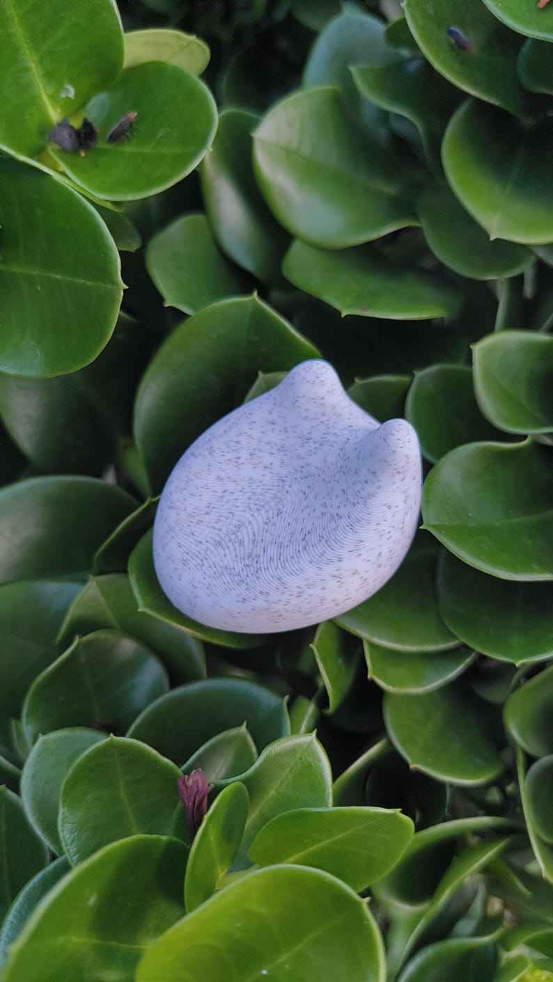 Thumb Bug Fidget | Worry Stone - Etsy