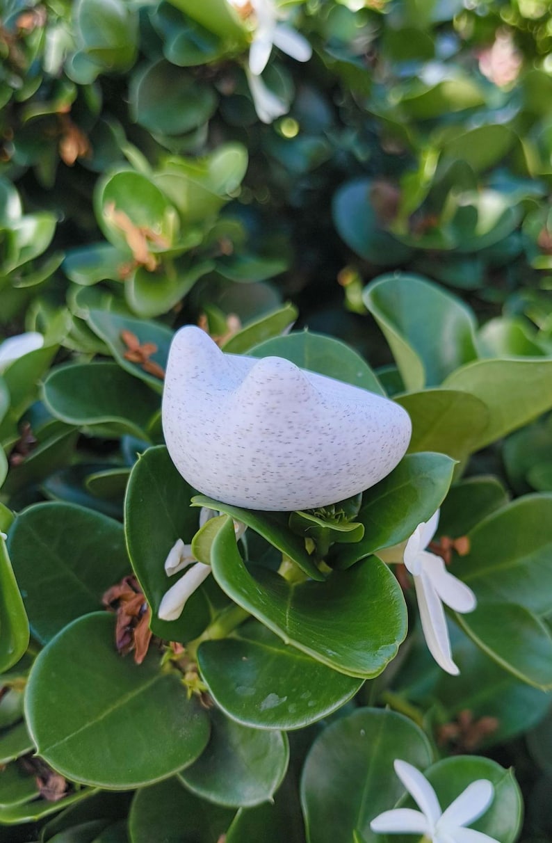 Thumb Bug Fidget | Worry Stone - Etsy