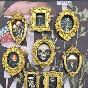 Magnet Oddities Tiny Framed Curiosities Unique Gothic Home Decor Fridge ...