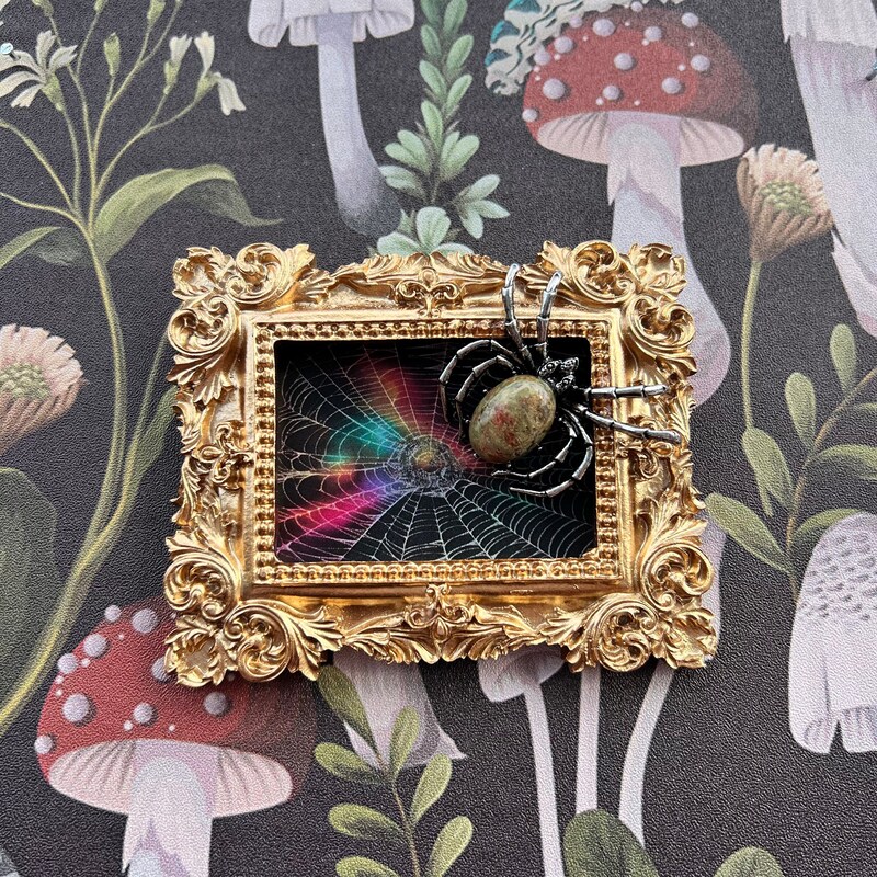 Framed Spider Web - Etsy