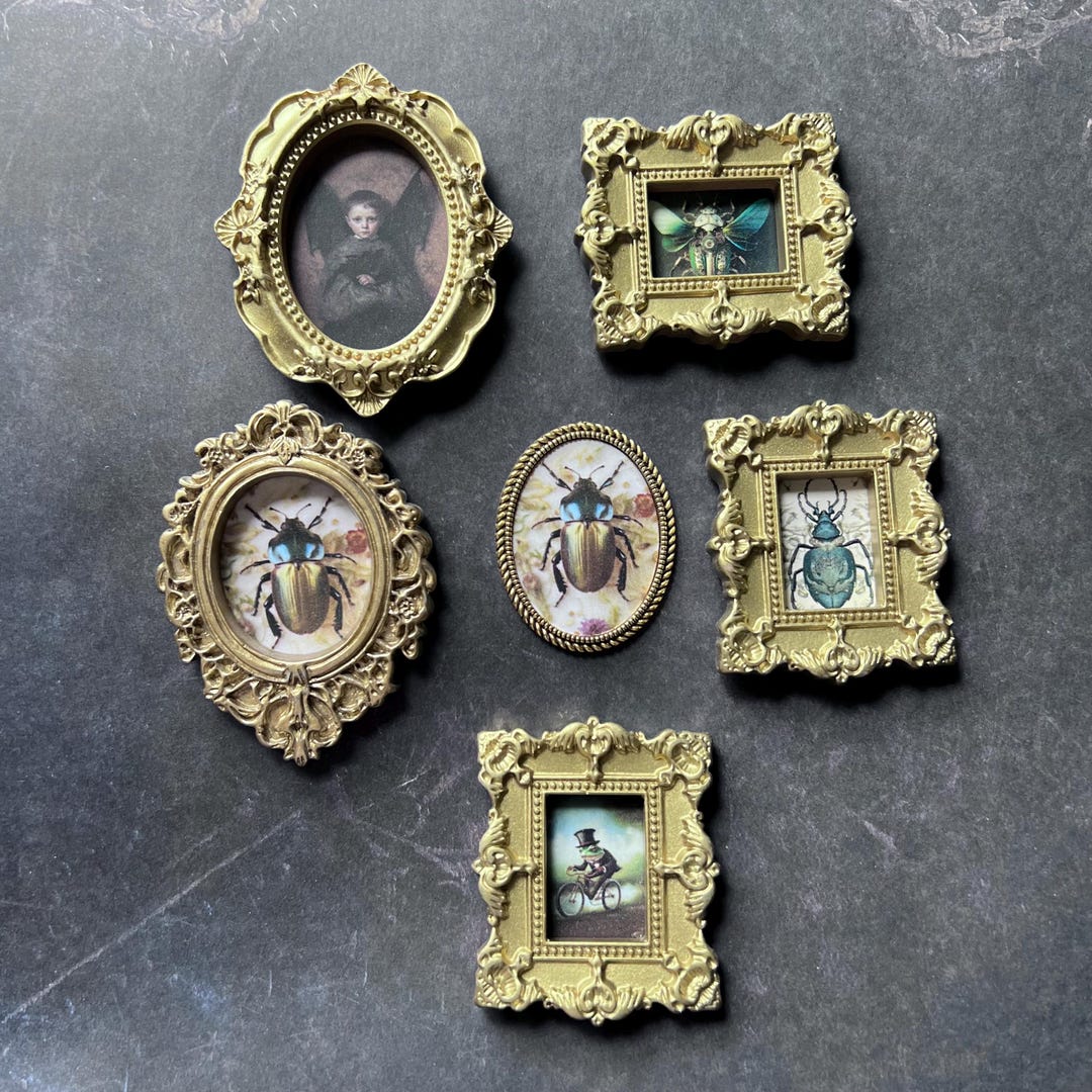 Mini Golden Framed Victorian Oddities Wall Hang or Magnetic Curiosities ...