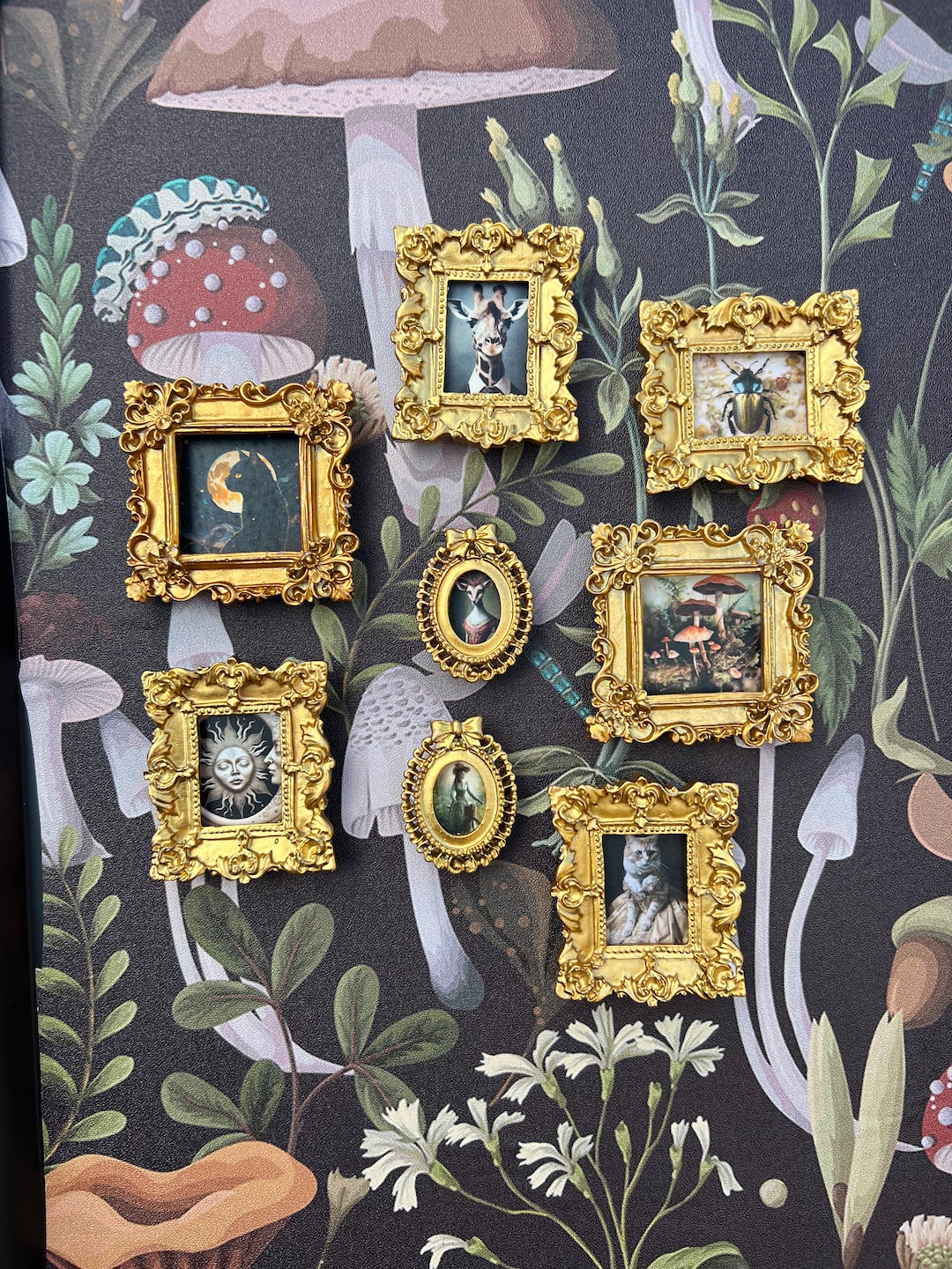 Mini Magnet Oddities Framed Curisoities Unique Gothic Home Decor Fridge ...