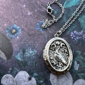 Crow Raven Witchy Necklace Stainless Steel Chain Witch Fairy Cottage ...