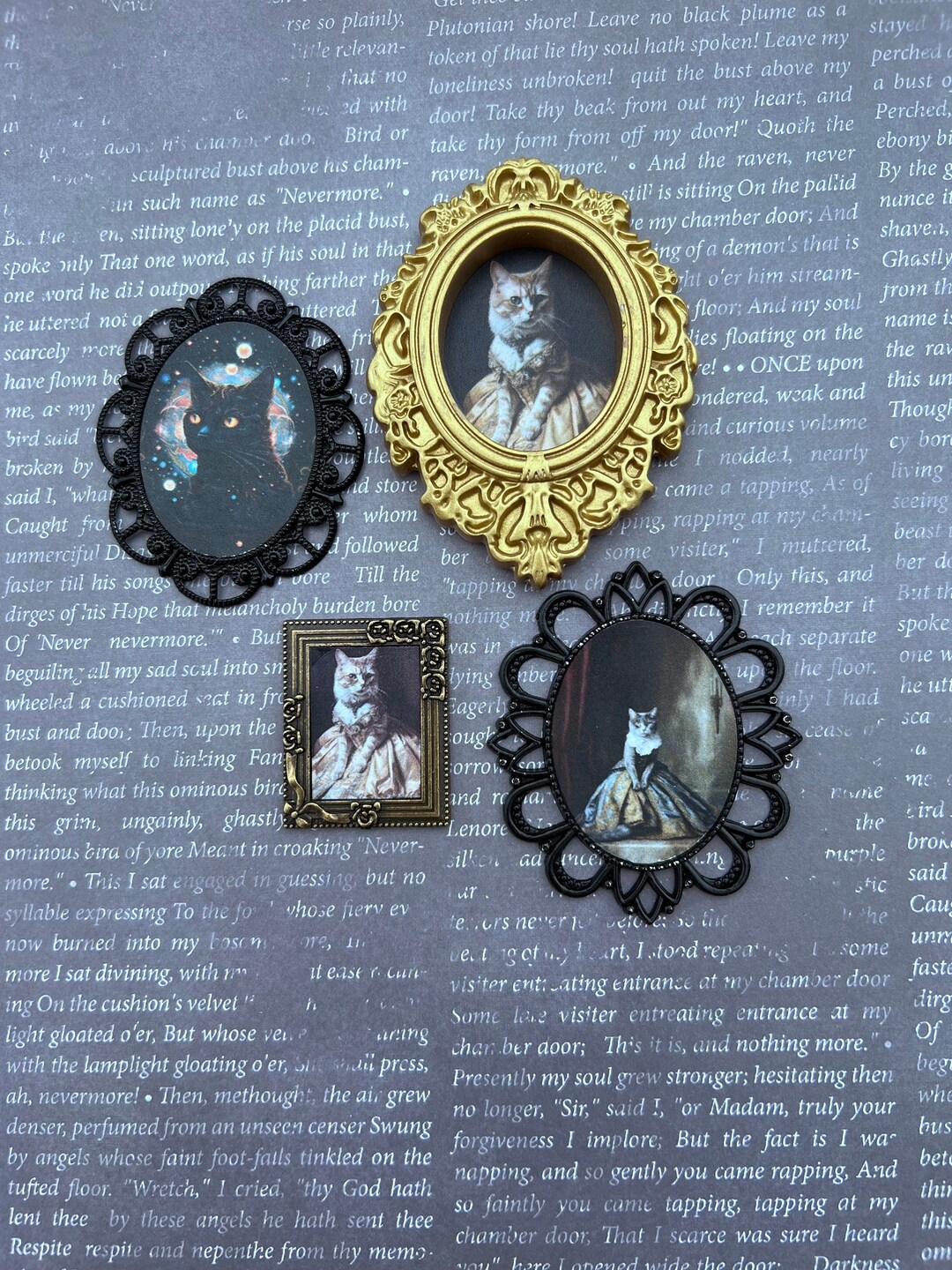 Cats Magnet Oddities Framed Curisoities Unique Home Decor Fridge ...