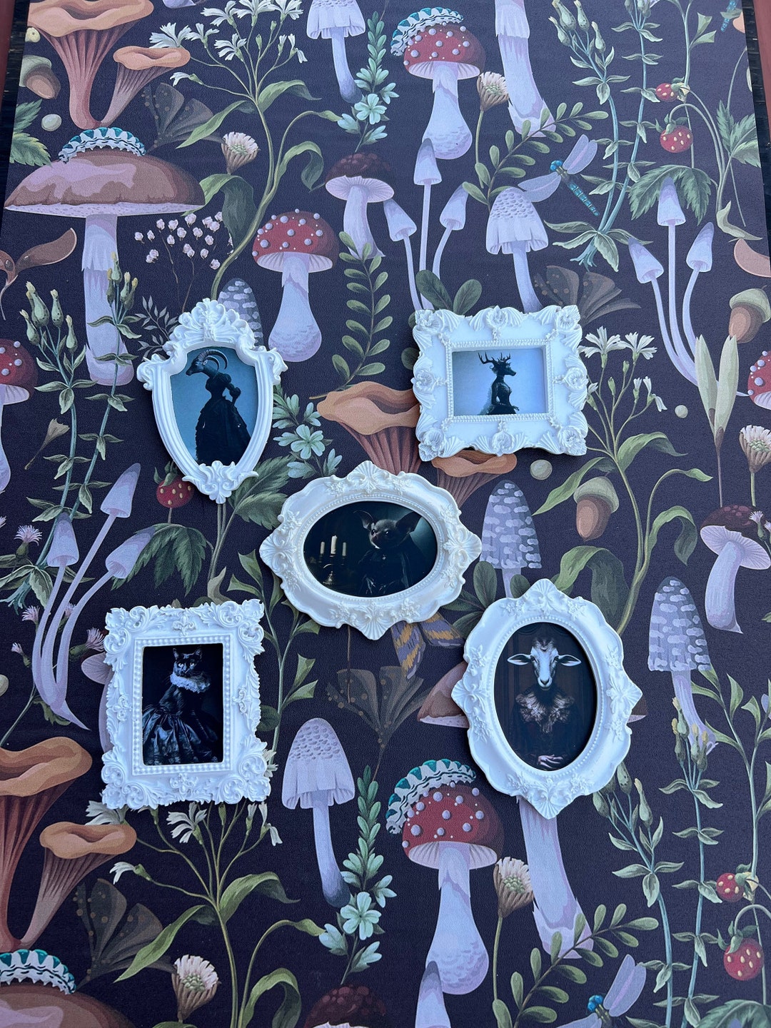 Whimsigoth Victorian Animals Oddity Art Framed Oddities and Curiosities ...