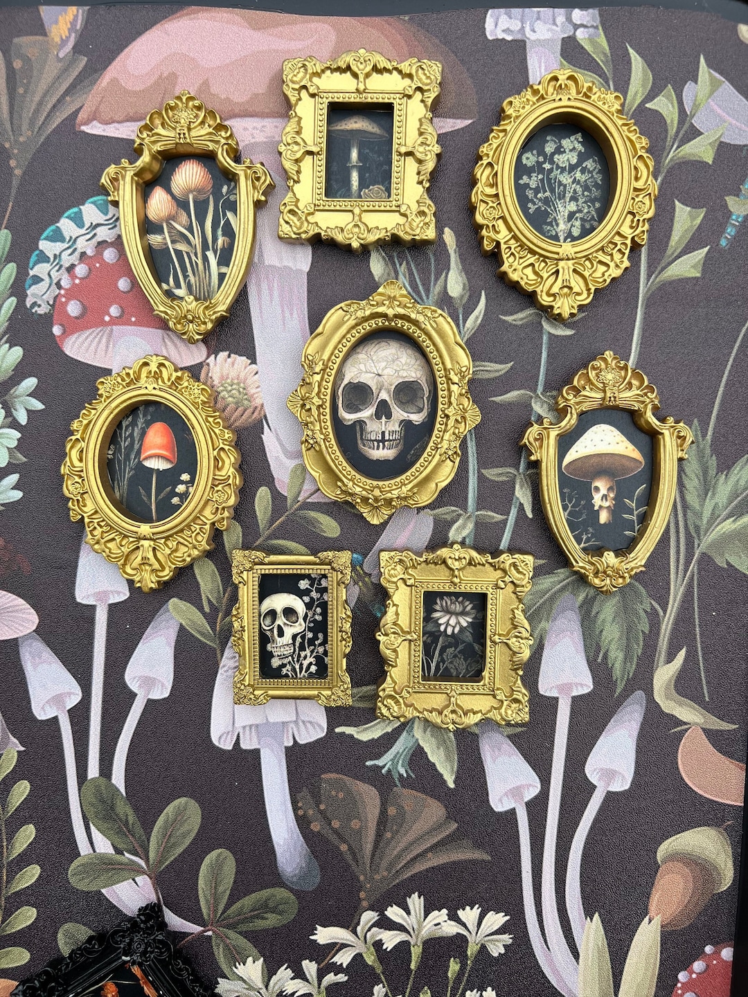 Magnet Oddities Tiny Framed Curiosities Unique Gothic Home Decor Fridge ...