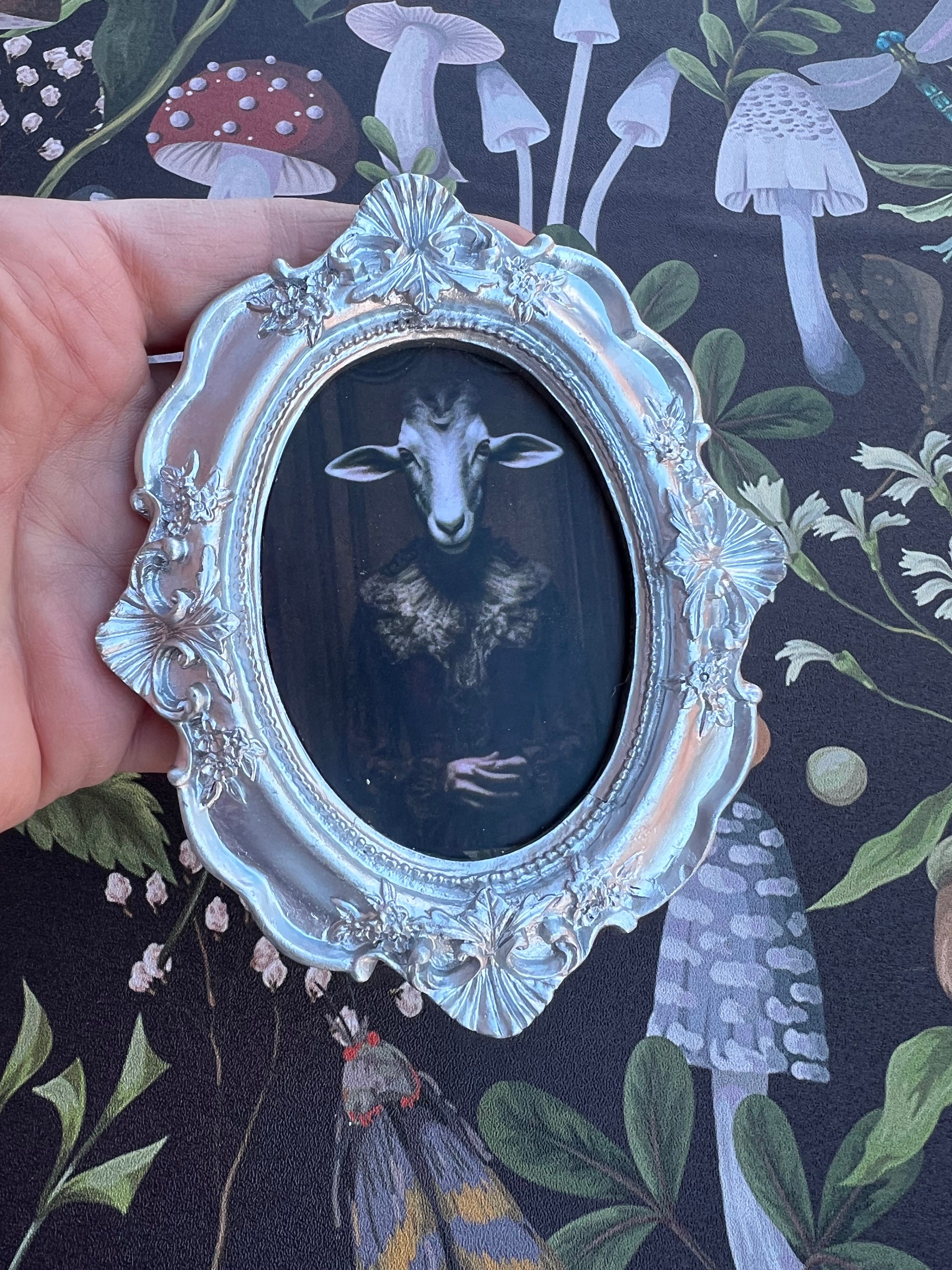 Whimsical Victorian Oddity Art Framed Oddities and Curiosities Wall ...