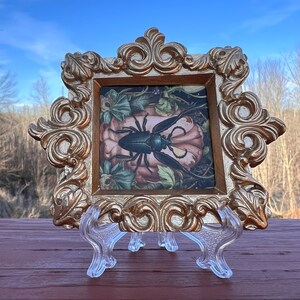 Oddity Art Victorian Goth Emerald Beetles and Bugs Framed Painting ...