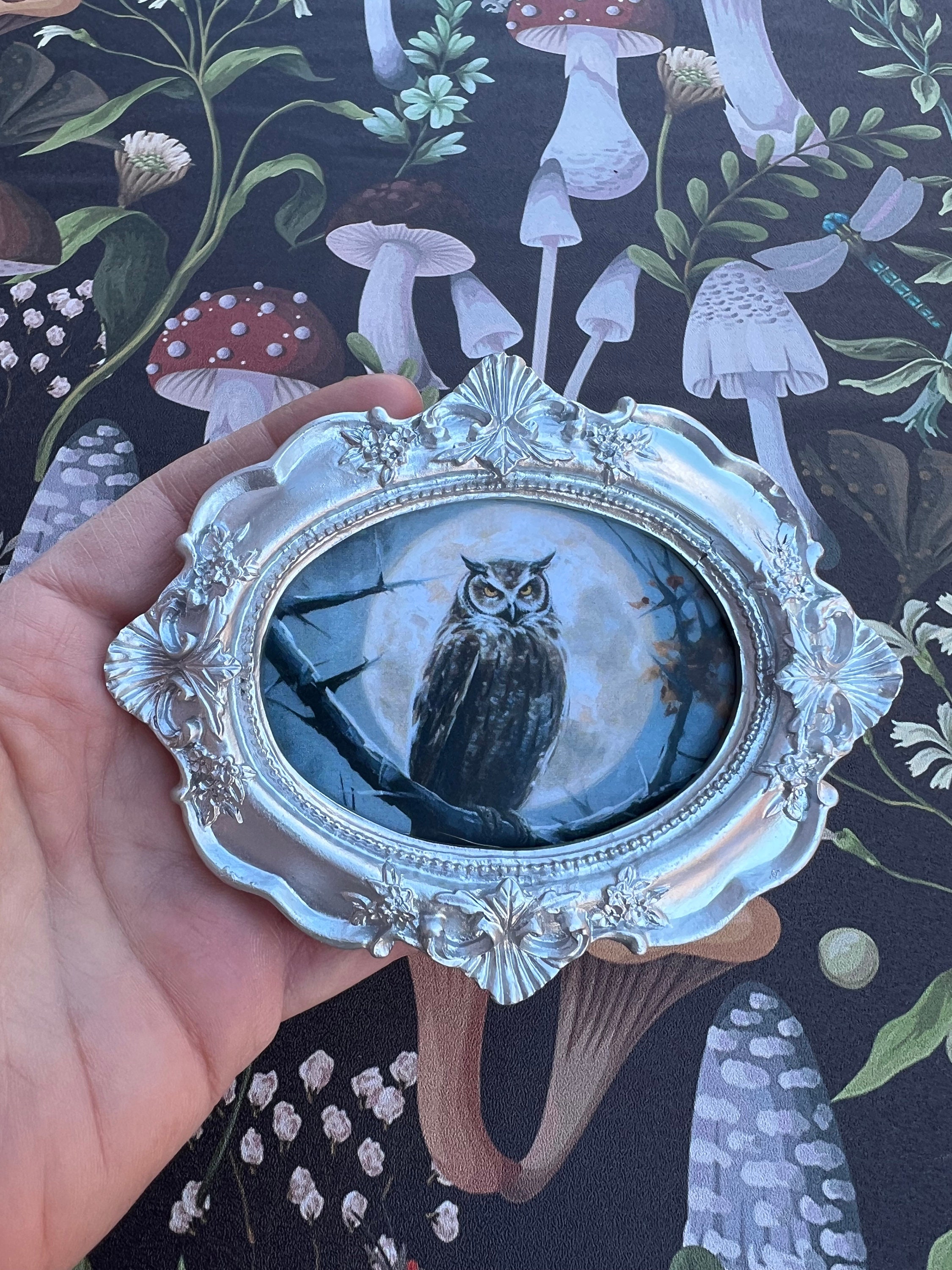 Whimsical Victorian Oddity Art Framed Oddities and Curiosities Wall ...