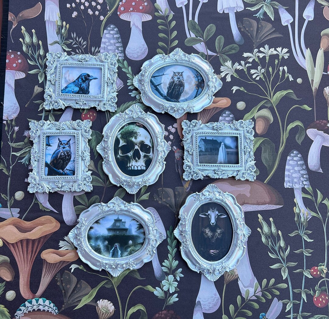 Whimsical Victorian Oddity Art Framed Oddities and Curiosities Wall ...