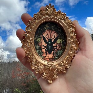 Oddity Art Victorian Goth Emerald Beetles and Bugs Framed Painting ...