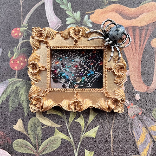 Framed Spider Web - Etsy
