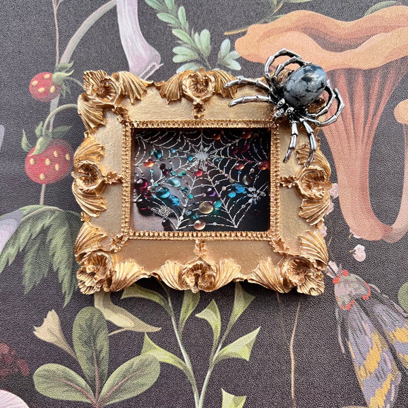 Framed Spider Web - Etsy