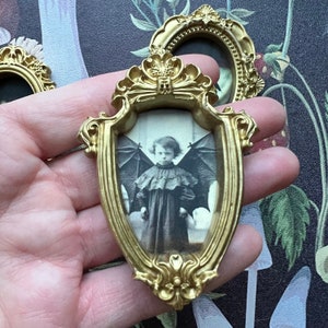Vampire Child Magnet Oddities Framed Curiosities Unique Gothic Home ...