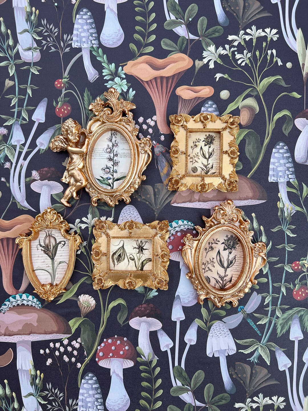 Botany Voynich Manuscript Oddity Art Cottage Victorian Painting Style ...