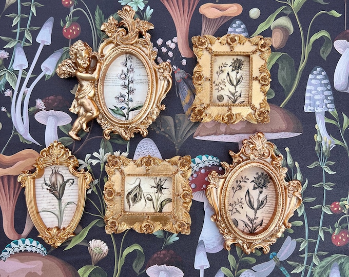 Botany Voynich Manuscript Oddity Art Cottage Victorian Painting Style ...