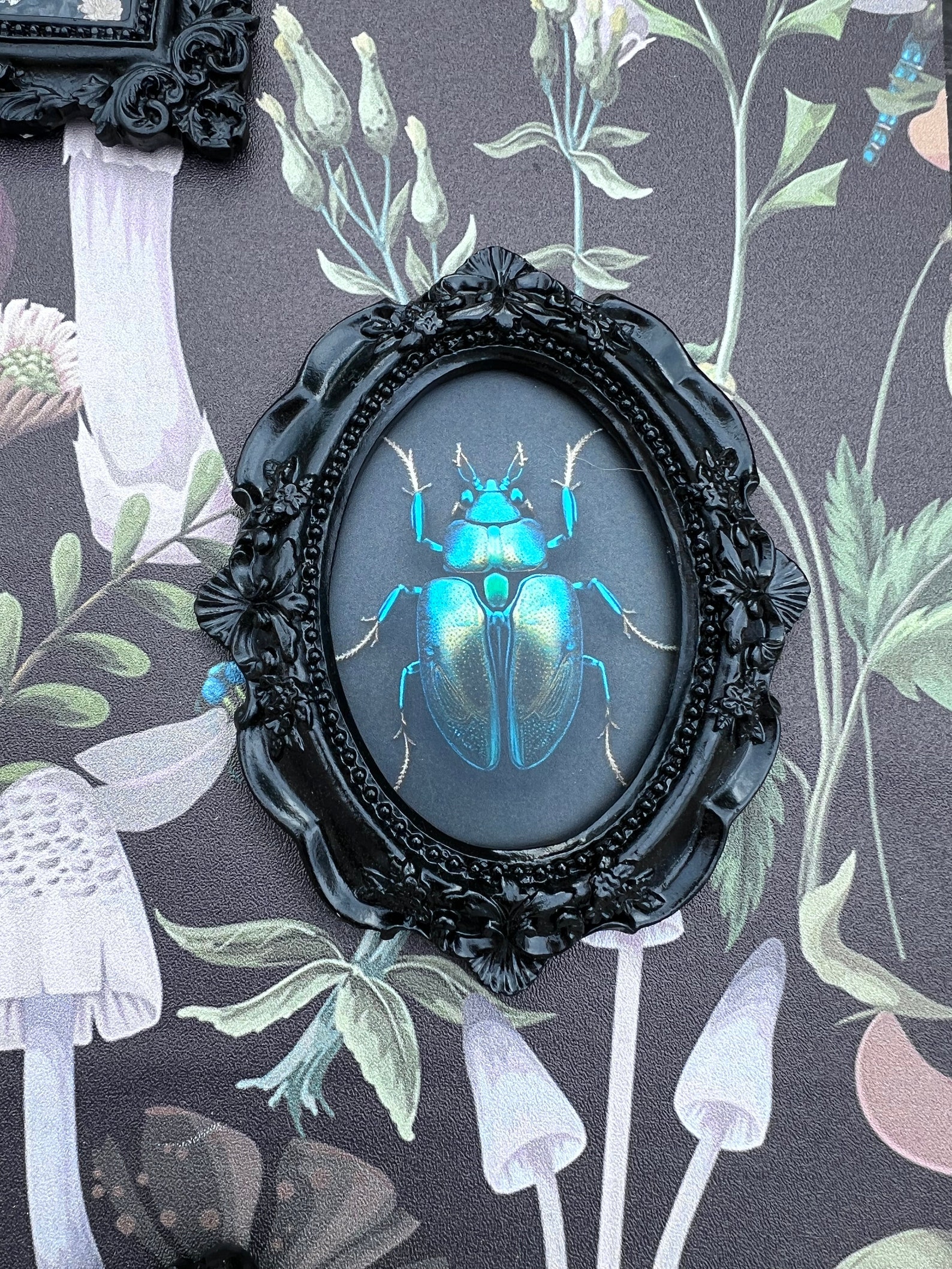 Gothic Wall Art Oddities and Curiosities AI Framed Wall Hanging Dark ...