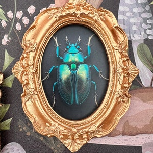Oddity Art Victorian Goth Emerald Beetles and Bugs Framed Painting ...