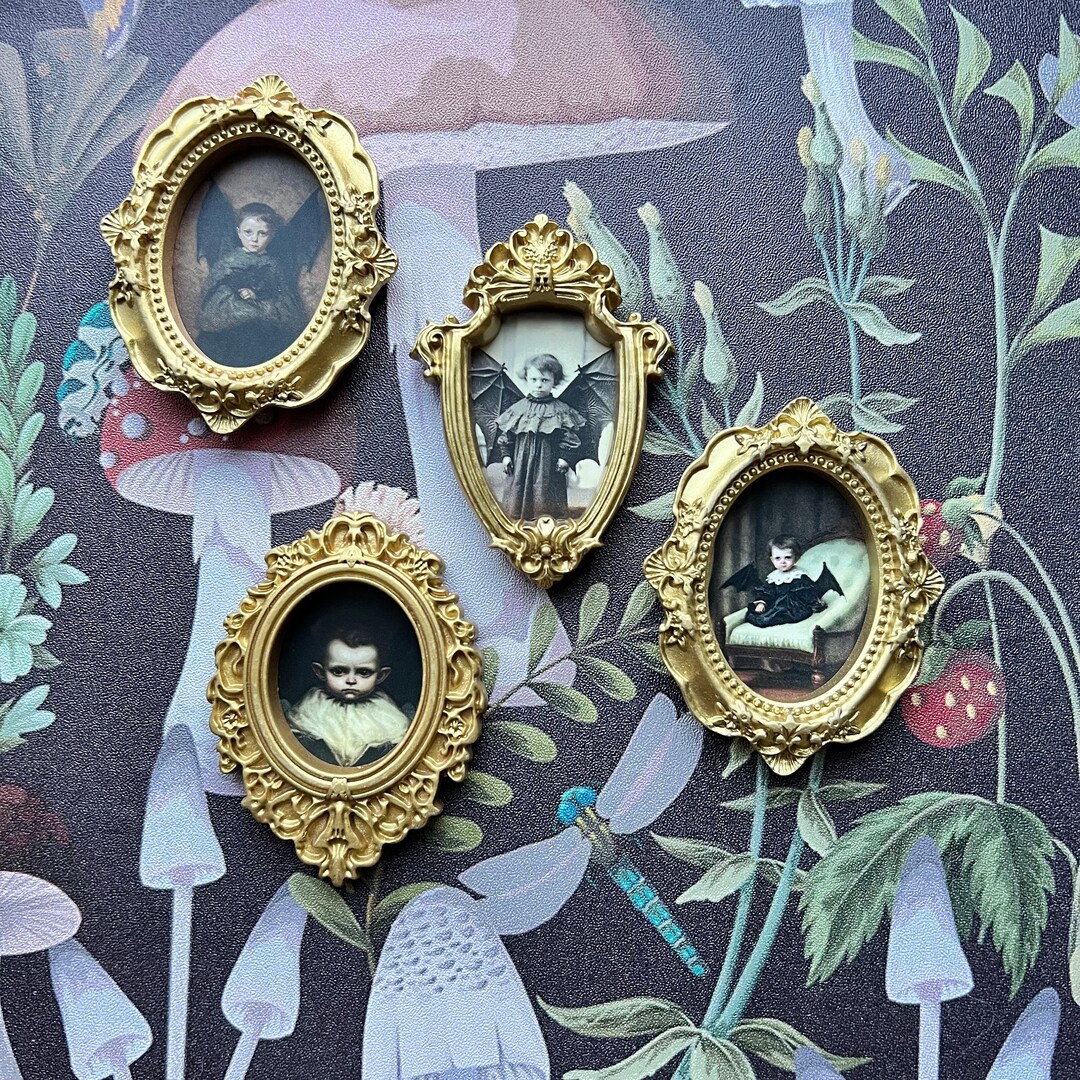 Vampire Child Magnet Oddities Framed Curiosities Unique Gothic Home ...